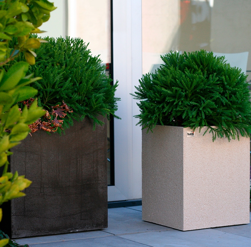 Euclid [S] – Movelar